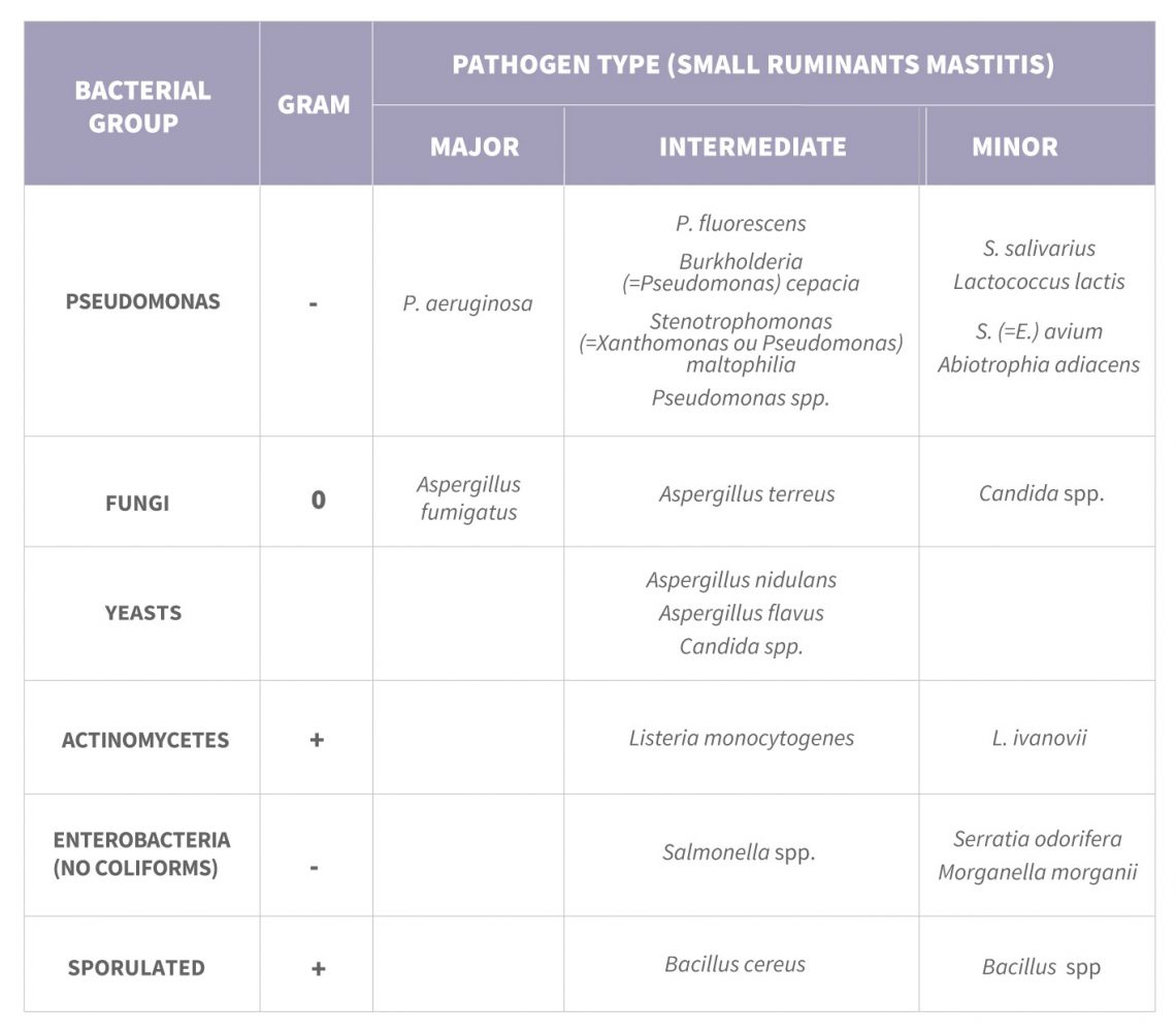Mastitis diagnosis in sheep & goats according to its origin