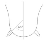 5 factors you need to master to improve Udder conformation