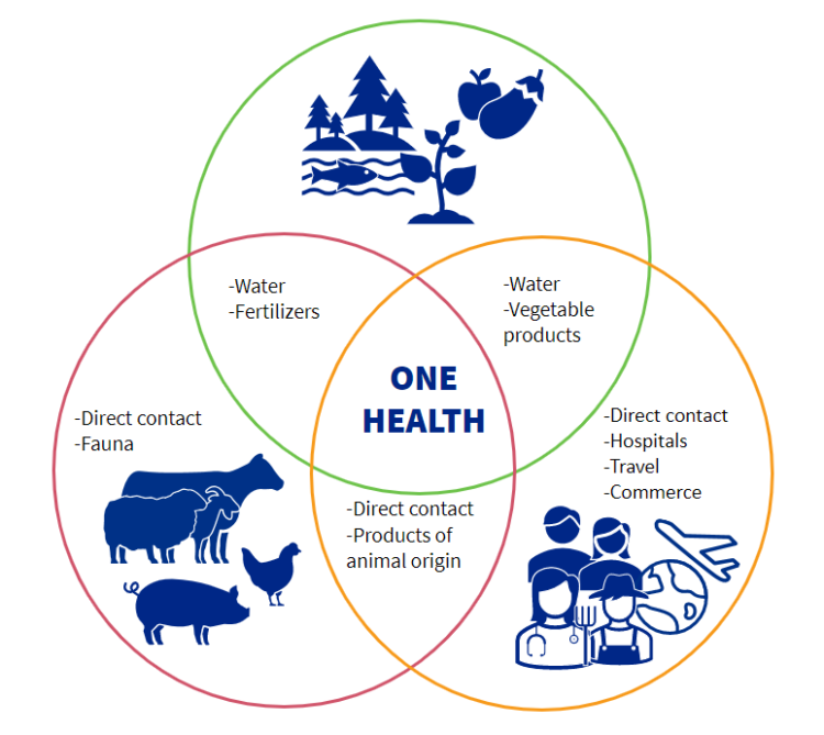 One Health and antimicrobial resistance