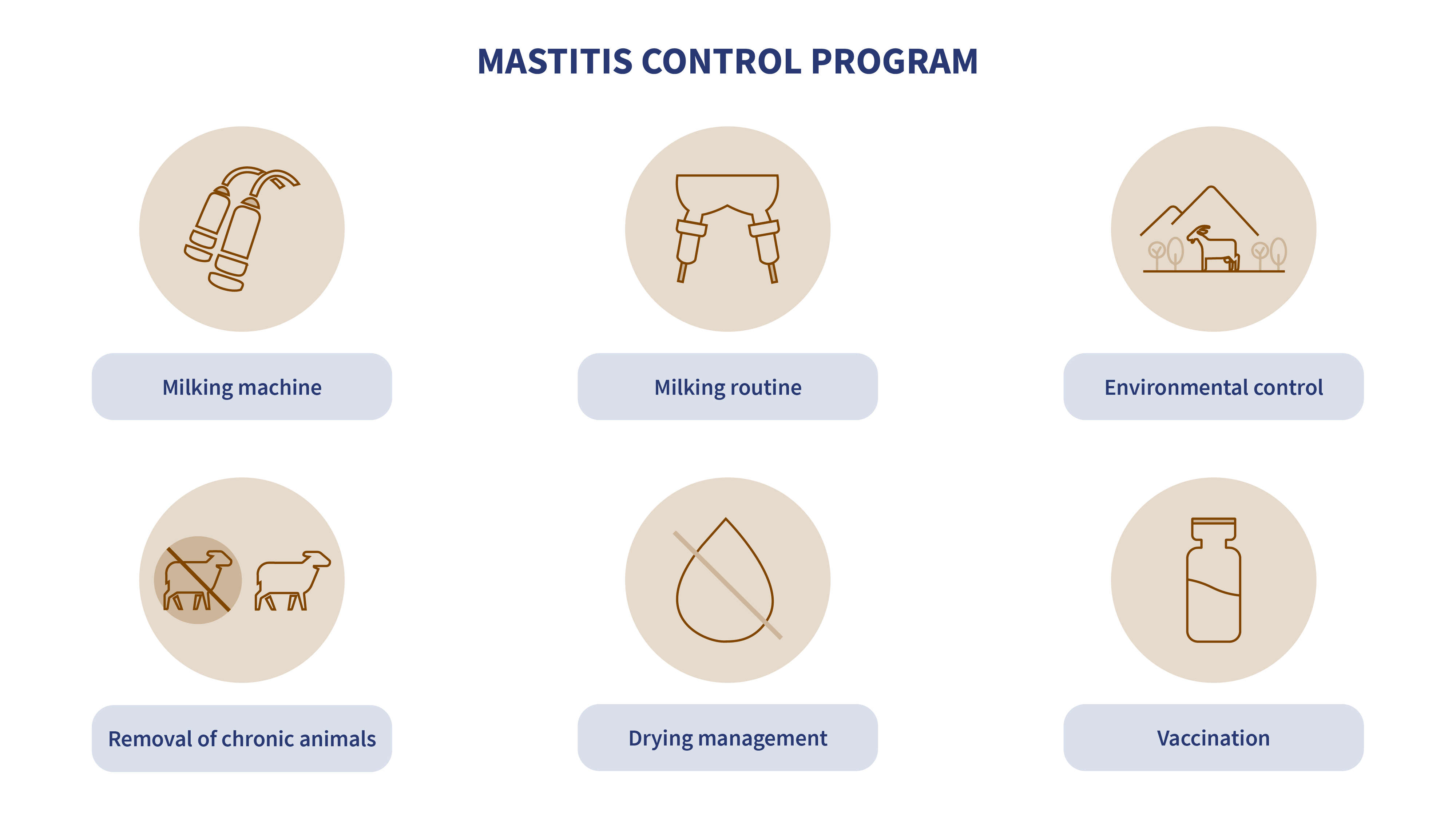 Mastitis control programme: to prevent mastitis in sheep and goats